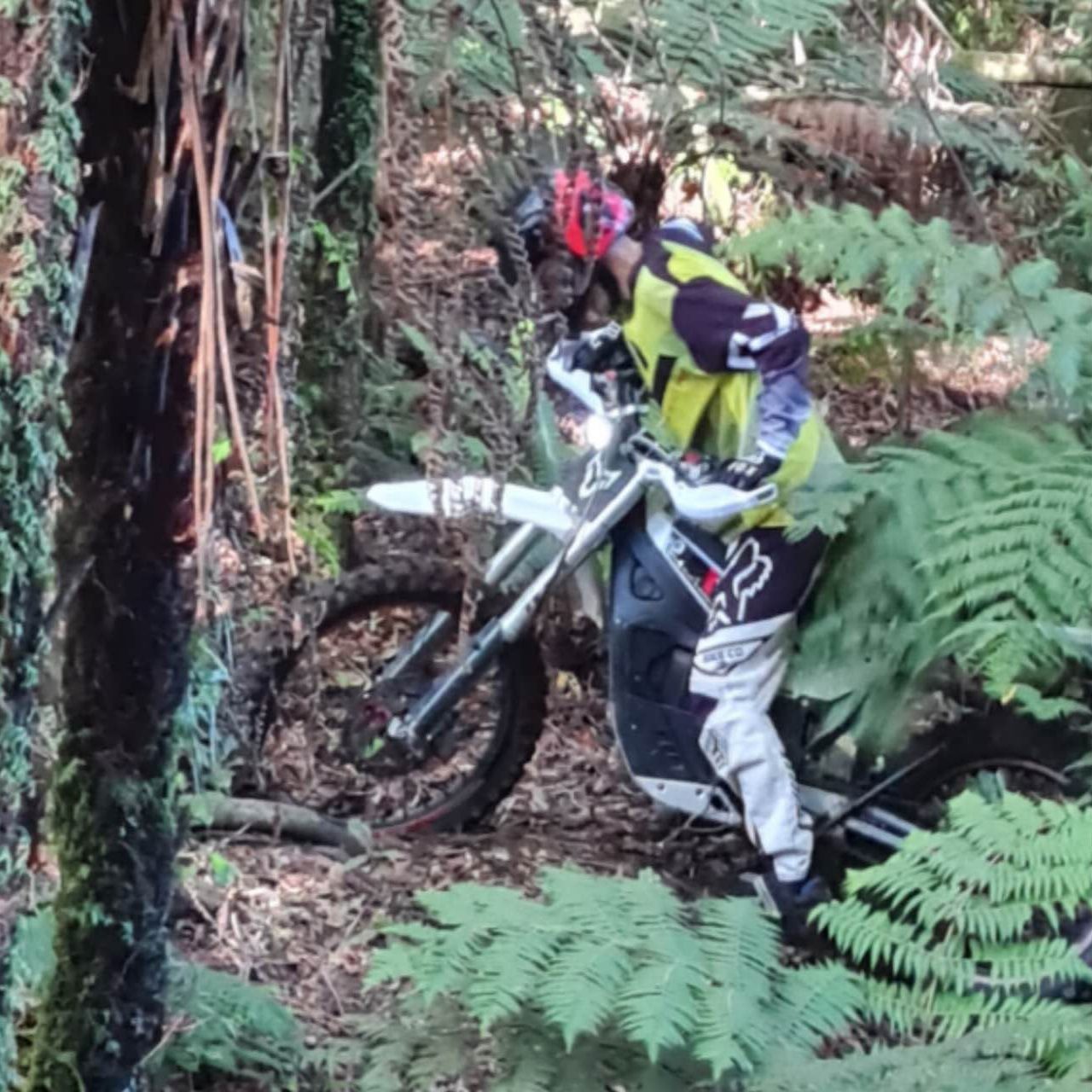 Electric Dirt Bikes - Arctic Leopard New Zealand